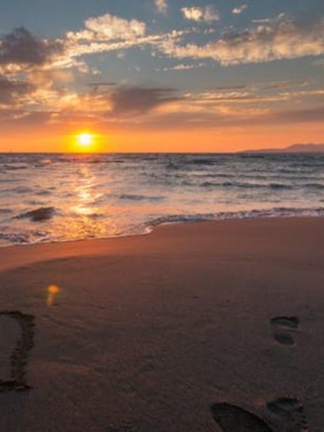 5 Beaches You Must Visit In Sharjah