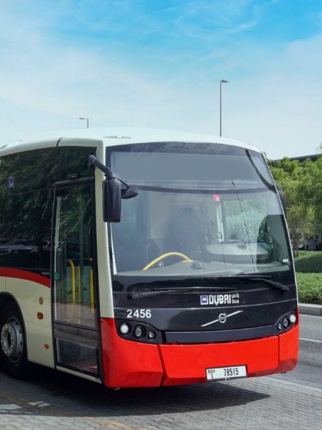 All You Need To Know About Free Shuttle Bus At JBR Beach