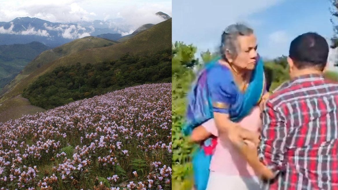 Sons Carry 87-Year-Old Mother To Witness Rare Neelakurinji Flowers