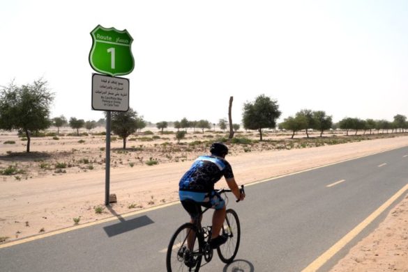 2 New Cycling Tracks Unveiled In Dubai, But We Got You A Whole List Of ...