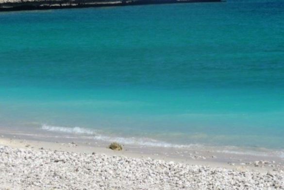 The 5 Best Camping Spots In Oman | Curly Tales