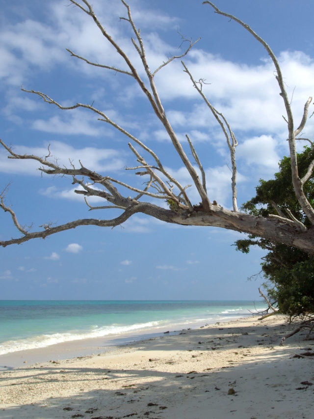 9 Things To Do in Andaman