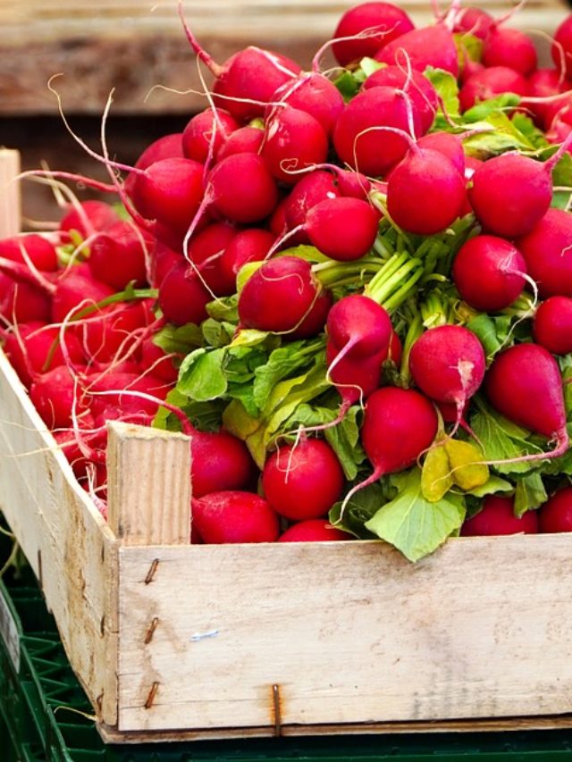 5 Health Benefits Of Radish You Should Know