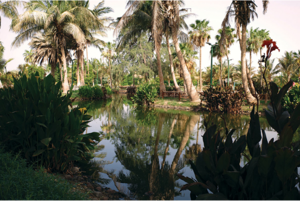 Yanbu, Things To Do and Places To Go In The City That Housed Lawrence ...