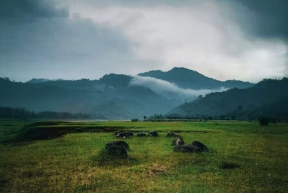 Jatinga In Assam Is Known As The Valley Of Death