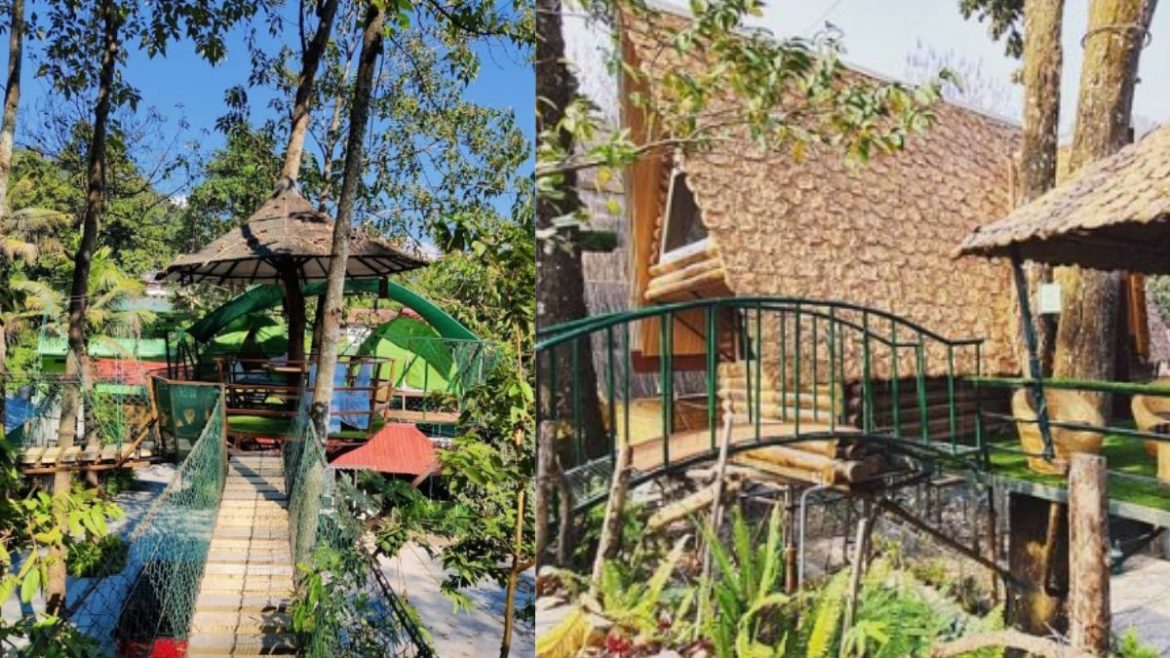 This Tree Resort In Sikkim Has A Bali-Style Meditation Nest, Canopy ...