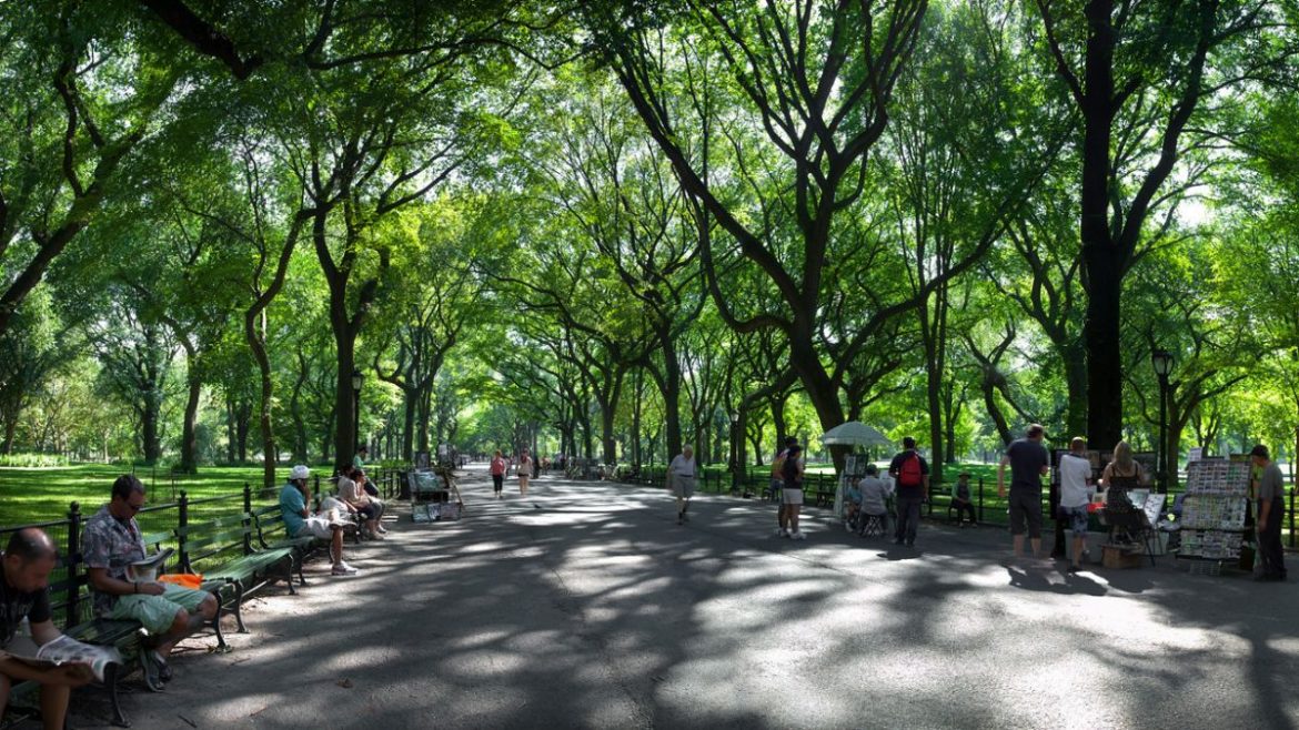 NYC Trees: New York City Now Has A Tree Map Which Lets Citizens ...