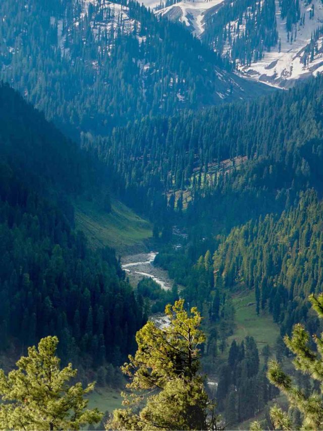 5 Valleys In Kashmir You Can Visit In December