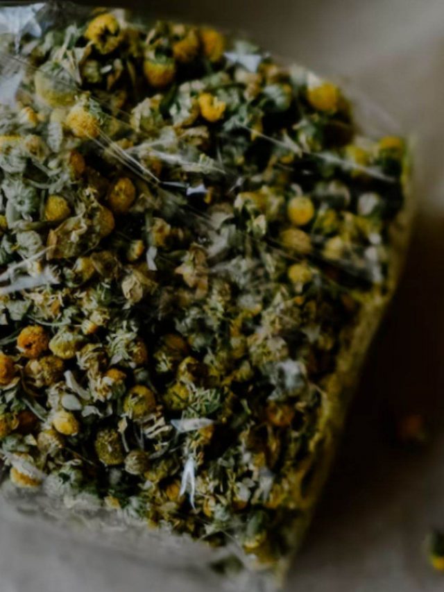 9 Benefits Of Chamomile Tea 9 Benefits Of Chamomile Tea