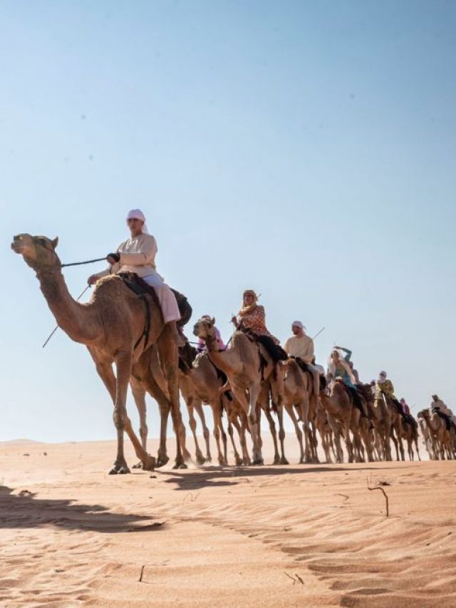 10 Facts About Annual Camel Trek Of UAE