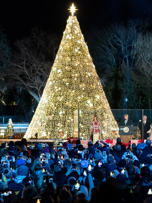 5 Christmas Tree Lighting Spots In RAK That Look Stunning!