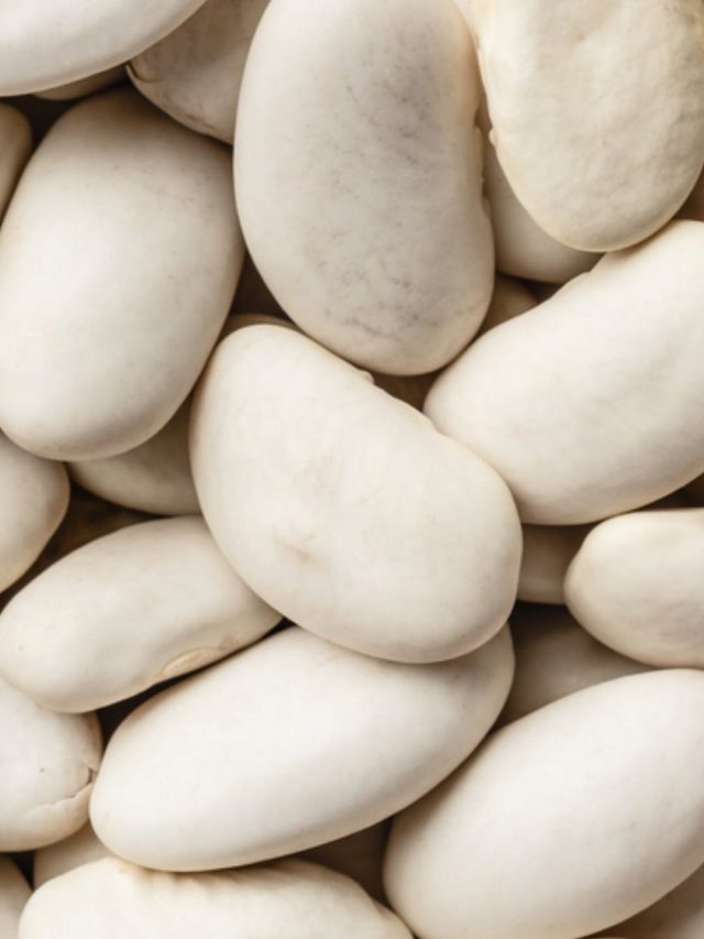 9 Types Of Legumes You Gotta Add To Your Diet Immediately