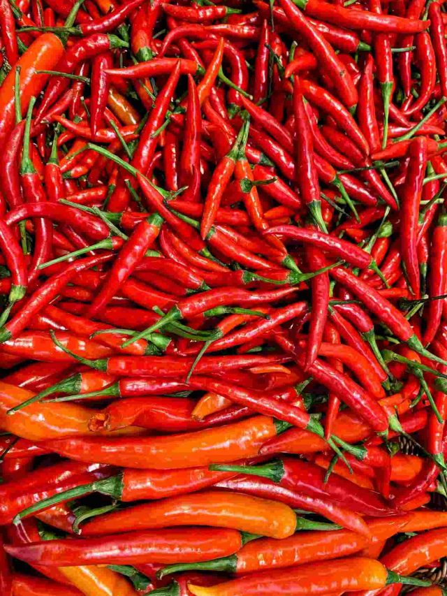5 Spiciest Food Items From Across The Globe