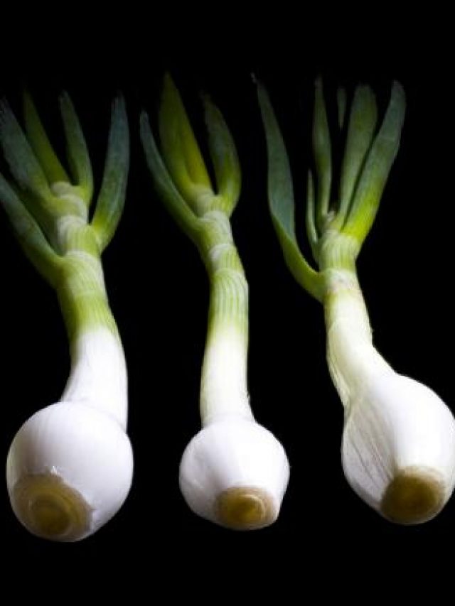 5 Health Benefits Of Green Onion