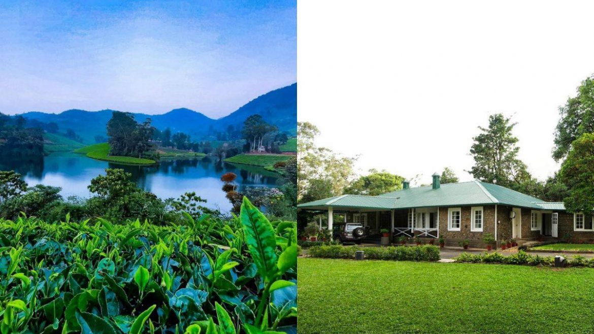 Briar Tea Bungalows In Meghamalai Have A Private Forest, Lush Flora And ...