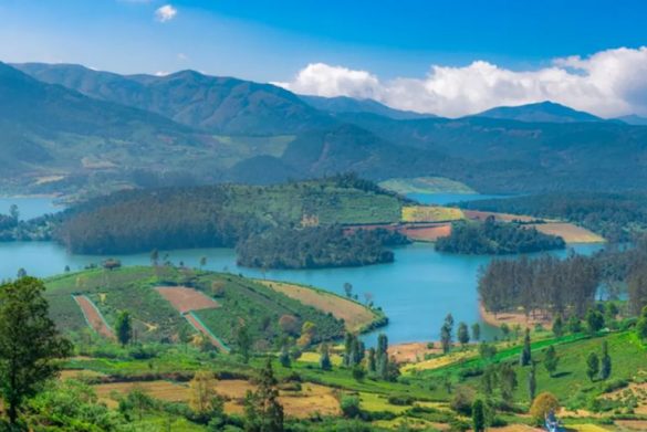 5 Free Things To Do In Ooty, The Queen Of Hill Stations!