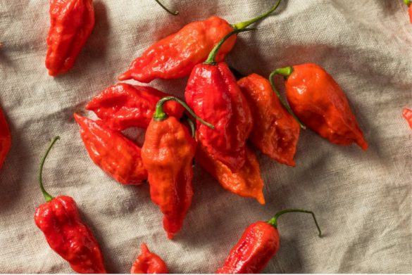 India’s Chilli Revolution: 14 Different Types Of Chillies Grown In ...
