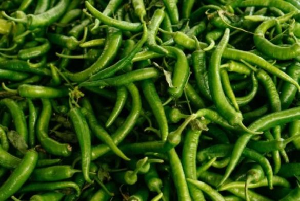 India’s Chilli Revolution: 14 Different Types Of Chillies Grown In ...