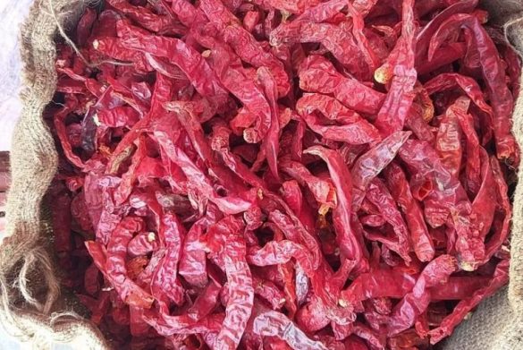 India’s Chilli Revolution: 14 Different Types Of Chillies Grown In India & Its Impact On Palate