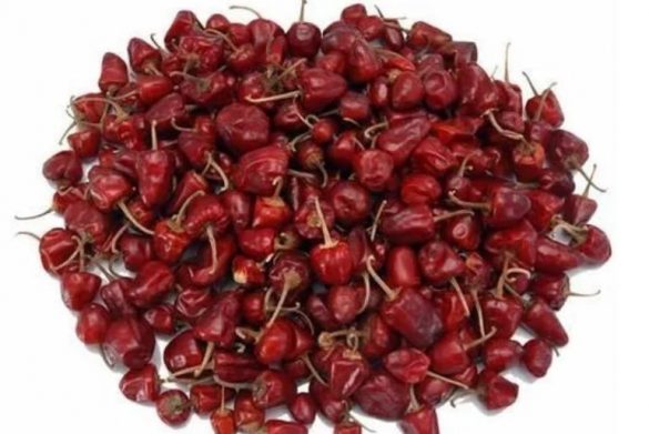 India’s Chilli Revolution: 14 Different Types Of Chillies Grown In ...