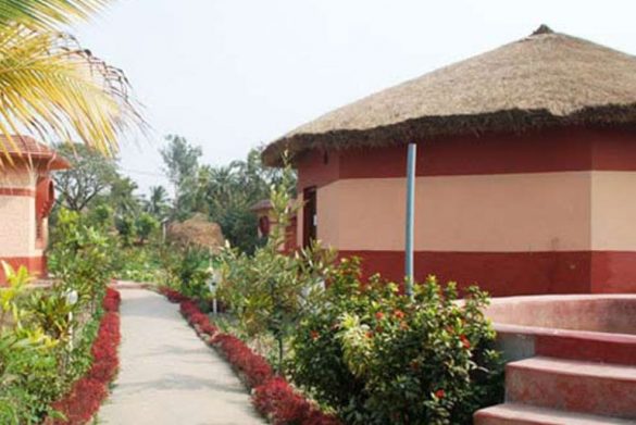 7 Charming Places To Stay At Sundarbans, The Abode Of Bengal Tigers