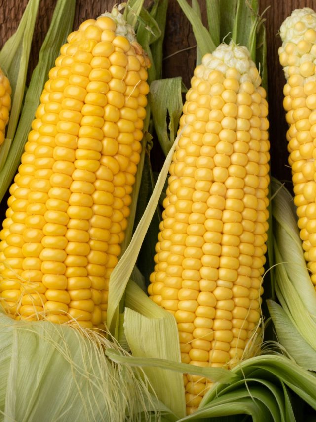 9 Reasons Corn In All Forms Should Be Part Of Your Diet 9 Reasons Corn In All Forms Should Be Part Of Your Diet