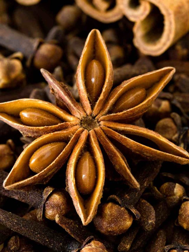 9 Reasons To Make Chakra Phool (Star Anise) Part Of Your Diet