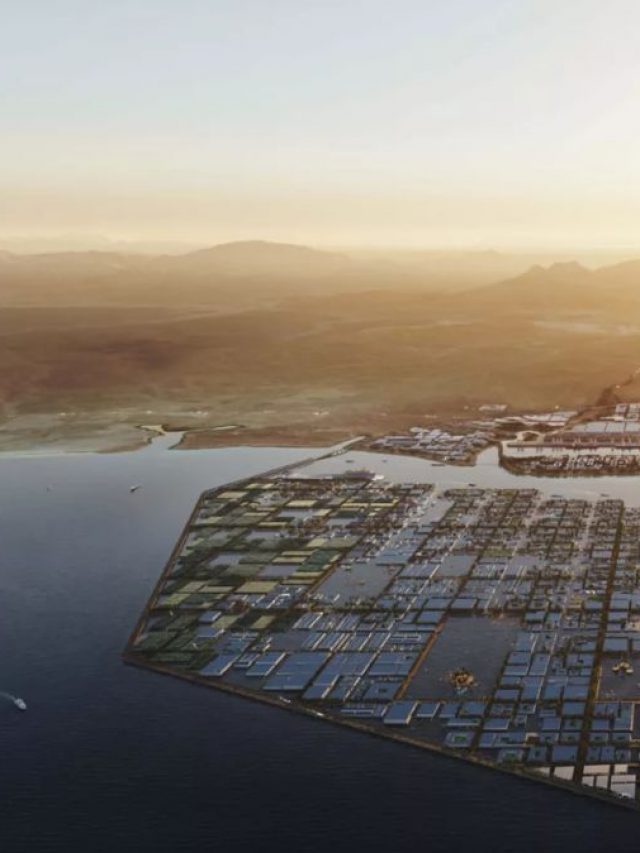 All You Need To Know About Oxagon, NEOM