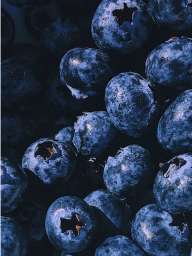 Blueberry And Its Benefits