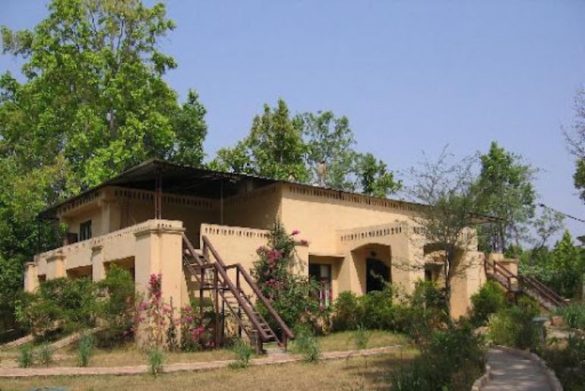 25 Best Forest Resorts In India To Bookmark In 2025 | Curly Tales