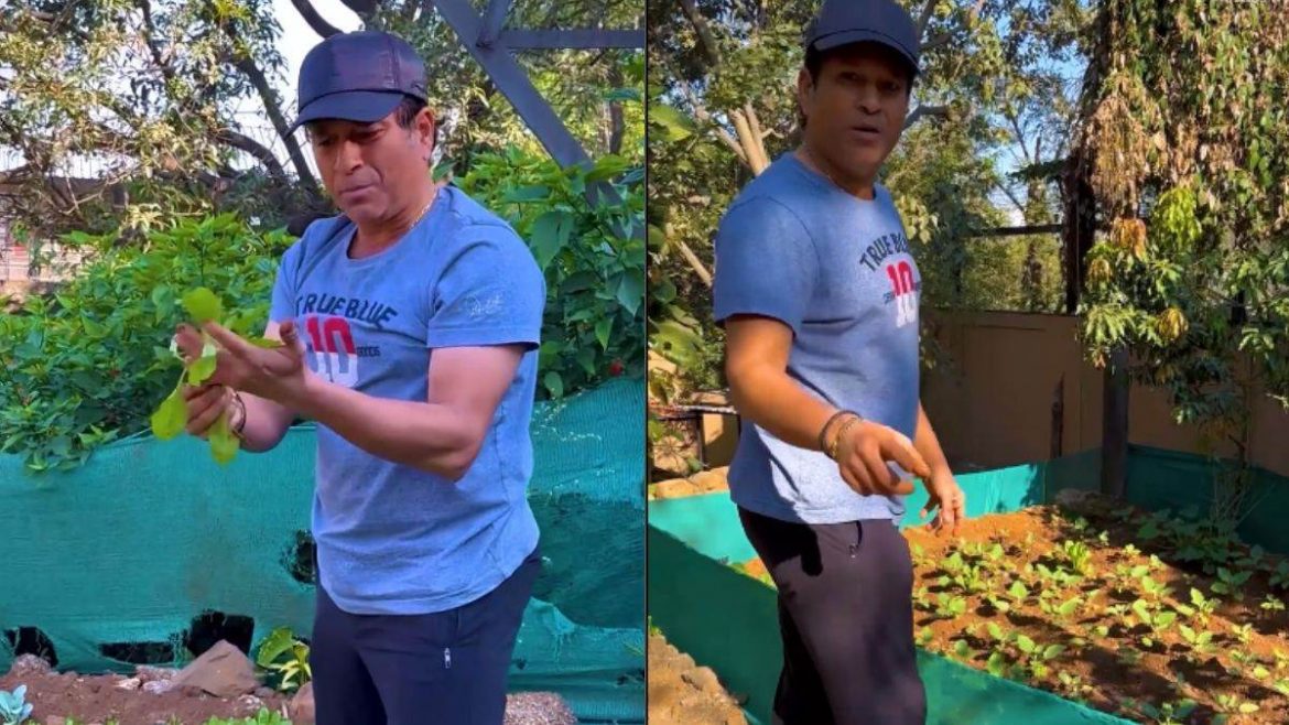 Sachin Tendulkar's Homegrown Organic Vegetable Farm Is Ultimate Goals ...