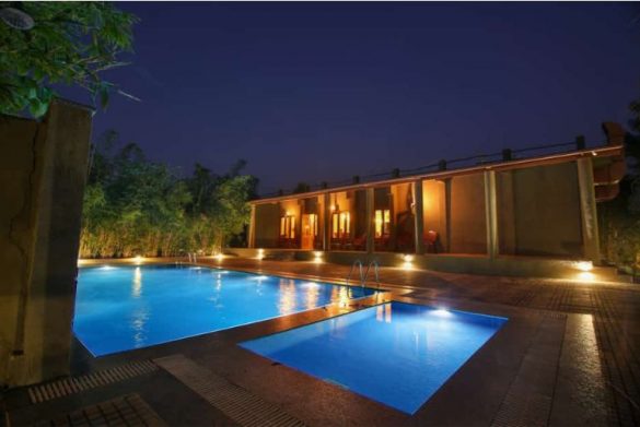 25 Best Forest Resorts In India To Bookmark In 2025 | Curly Tales