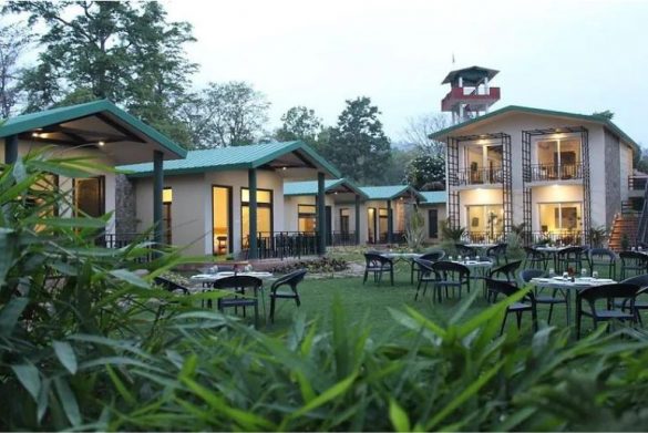 25 Best Forest Resorts In India To Bookmark In 2025 | Curly Tales