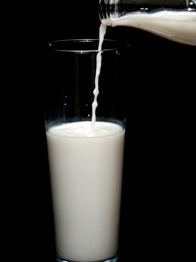 9 Types Of Milk You Should Know Of