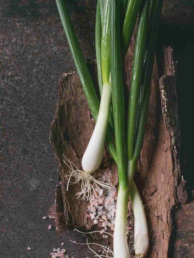 9 Reasons To Include Spring Onion In Your Diet