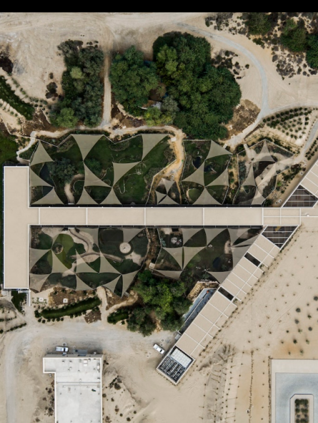 All You Need To Know About Mini Africa In UAE