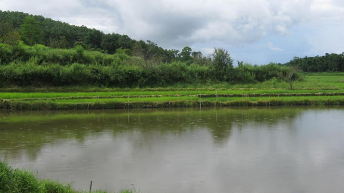 This Locally Managed Fish Sanctuary In Meghalaya Is A Visual Treat That ...