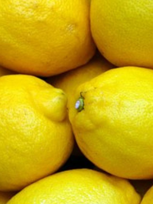 Home Hack: 6 Ways To Store Lemons To Keep Freshness Intact
