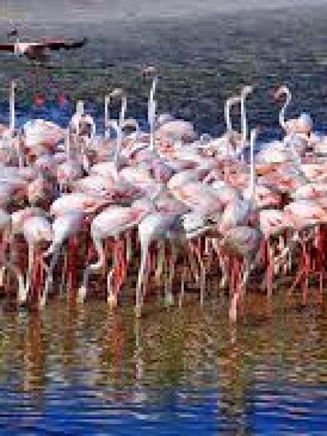 6 Nature Reserves Across The UAE That You Must Visit At Least Once