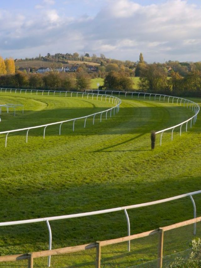 8 Racecourses In India Where You Can Horse Around