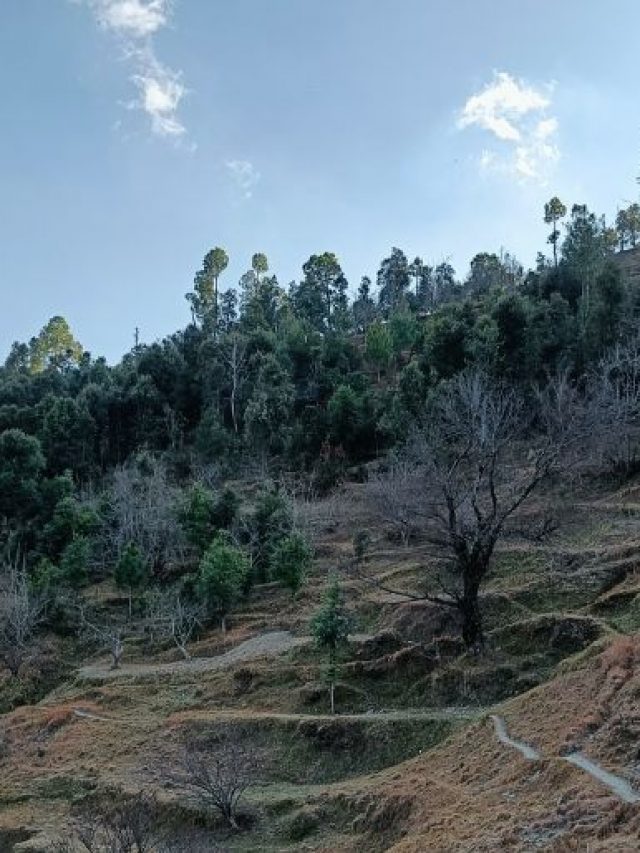 5 Reasons To Visit Meghalaya's Mawphanlur This Summer