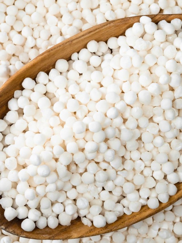 7 Recipes To Make With Sabudana