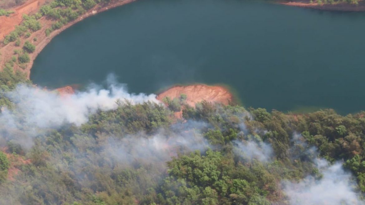 Deforestation in Goa, India. Cause of destruction forests