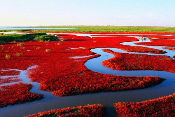 This Beach In China Is Red With No Sand And Looks Straight Out Of A Dream
