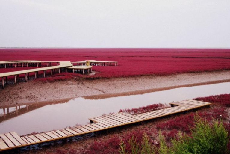 This Beach In China Is Red With No Sand And Looks Straight Out Of A Dream