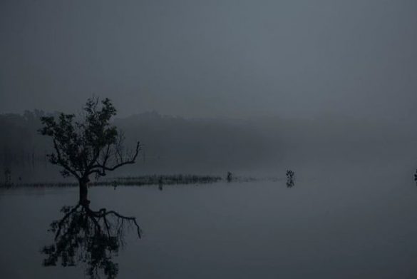 People Believe Aleya Lights In The Sunderbans Are Work Of Spirits. But ...
