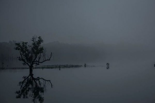 People Believe Aleya Lights In The Sunderbans Are Work Of Spirits. But ...