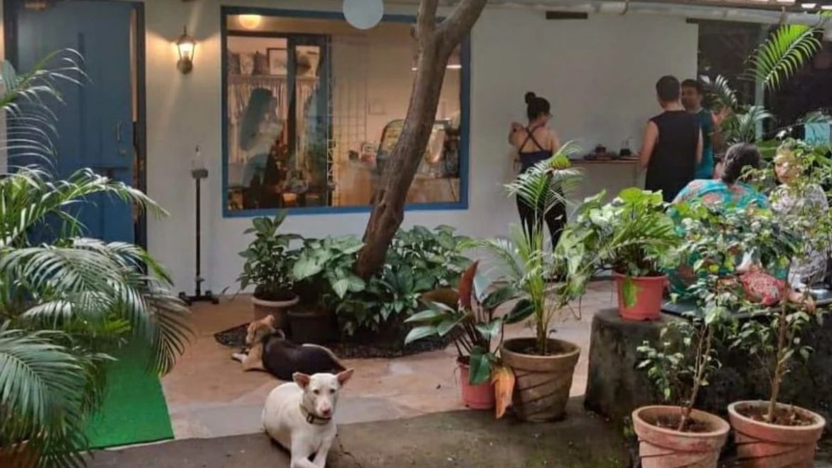 Cafe Ladida In Sangolda Is Goa's Cosy Retreat For Dessert & Coffee Lovers