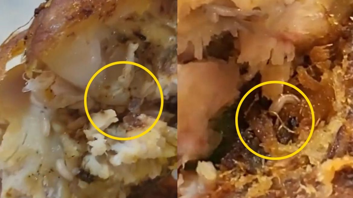 Customer Spots Maggots Inside Fried Chicken At Malaysian Restaurant ...