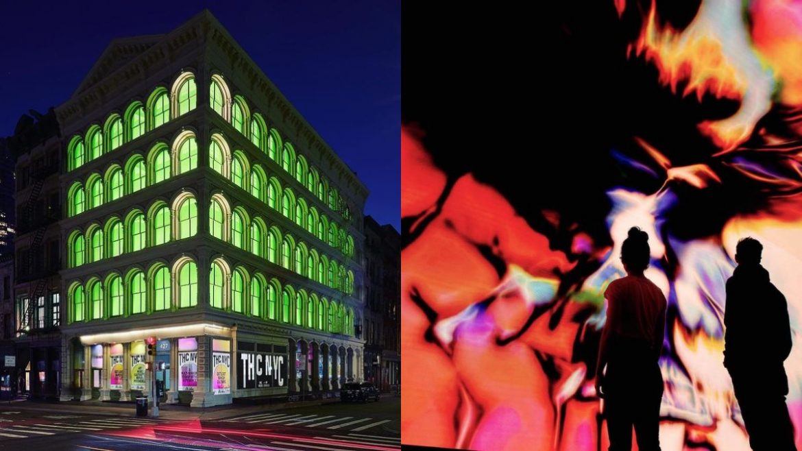 New York Has A New Weed Museum And The Inside Looks Way Too Trippy!